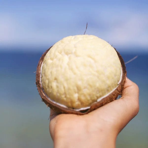 The Coconut Paradox: The Ultimate Guide to Surviving on Coconut Alone